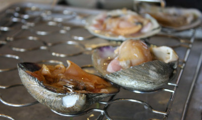 New Best of Barbecue Grilling Tools - Barbecuebible.com