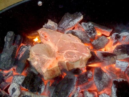 Grilling in the Embers: Rediscovering the Art of Caveman-Style Barbecue ...