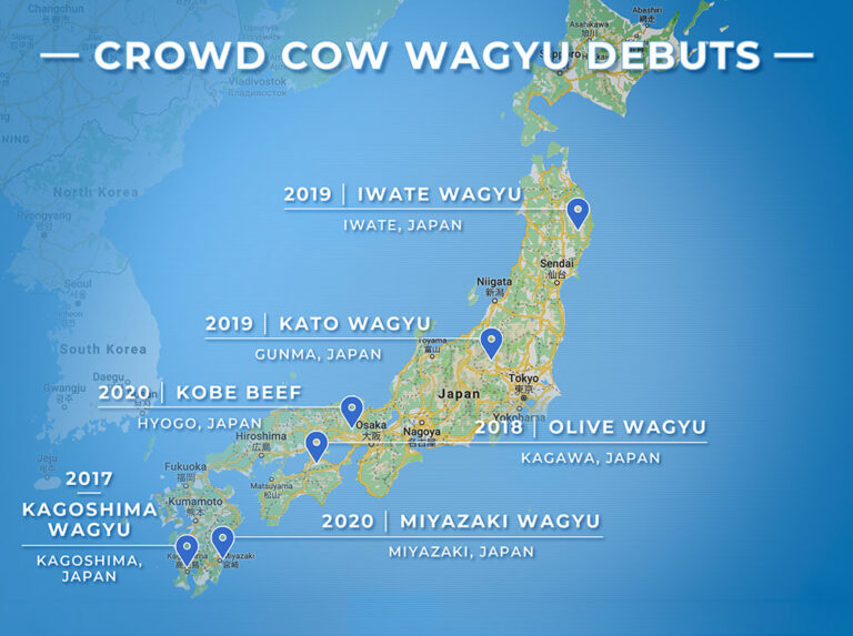 Wagyu Beef Demystified - Barbecuebible.com